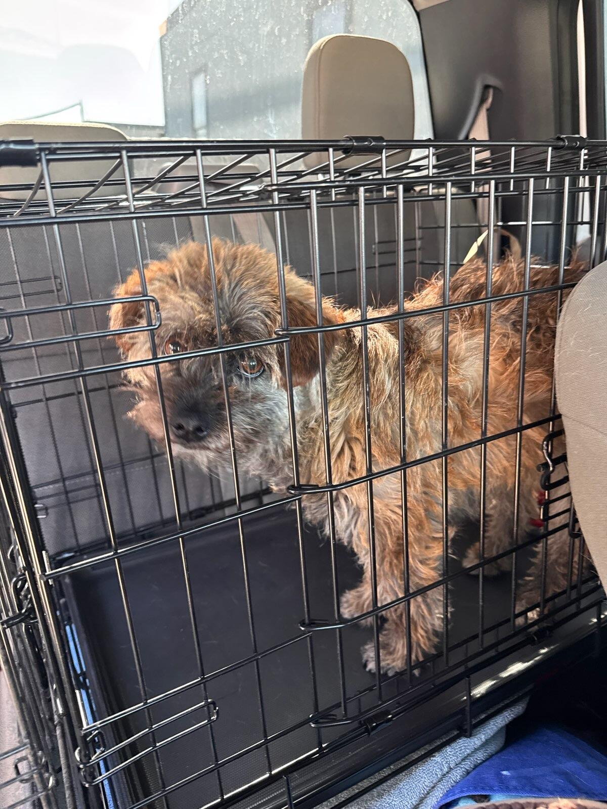 ️Sponsor Sandy ️