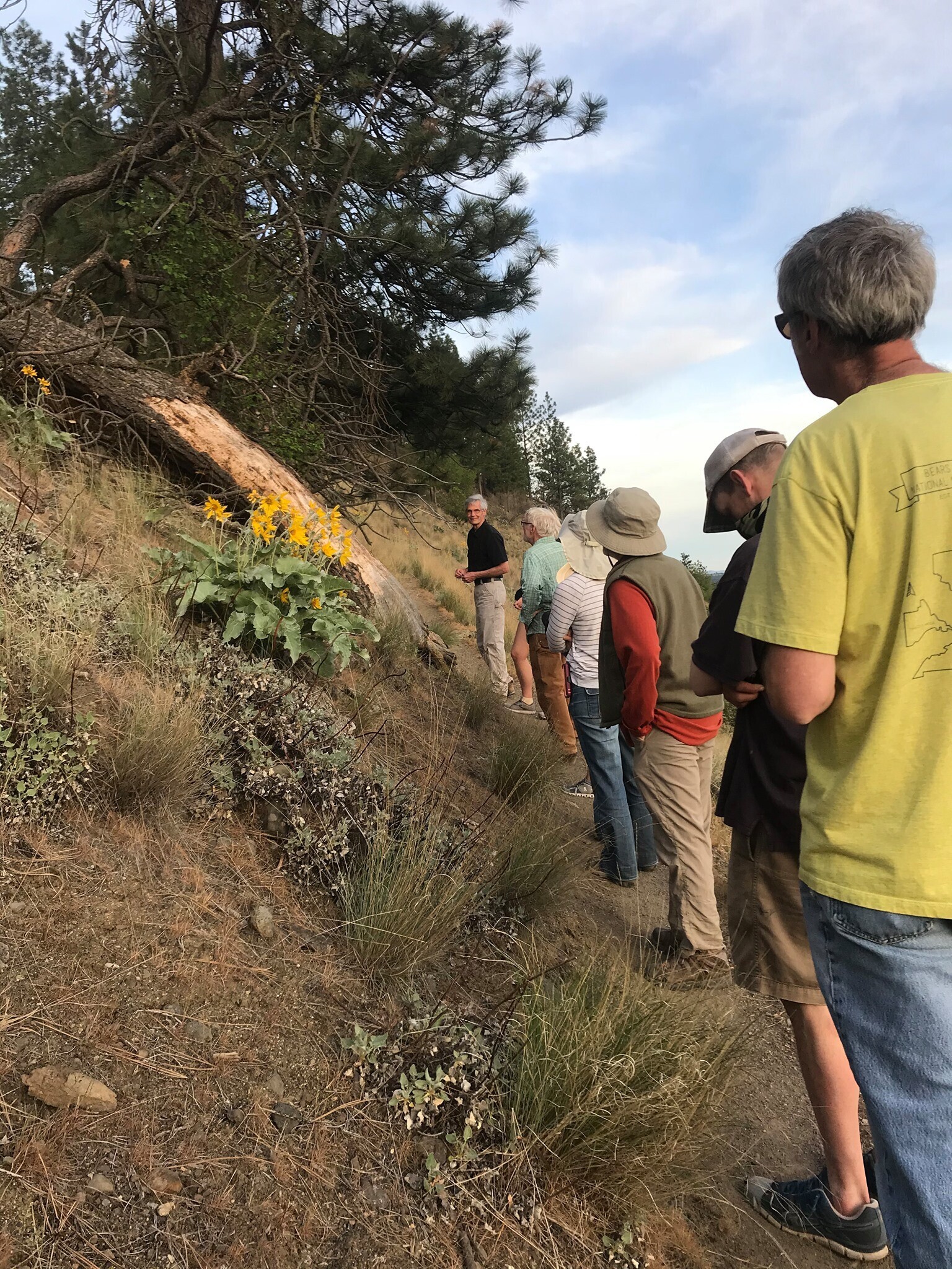 Bluff Walk: Opt Outside with Friends of the Bluff's Vice President ...