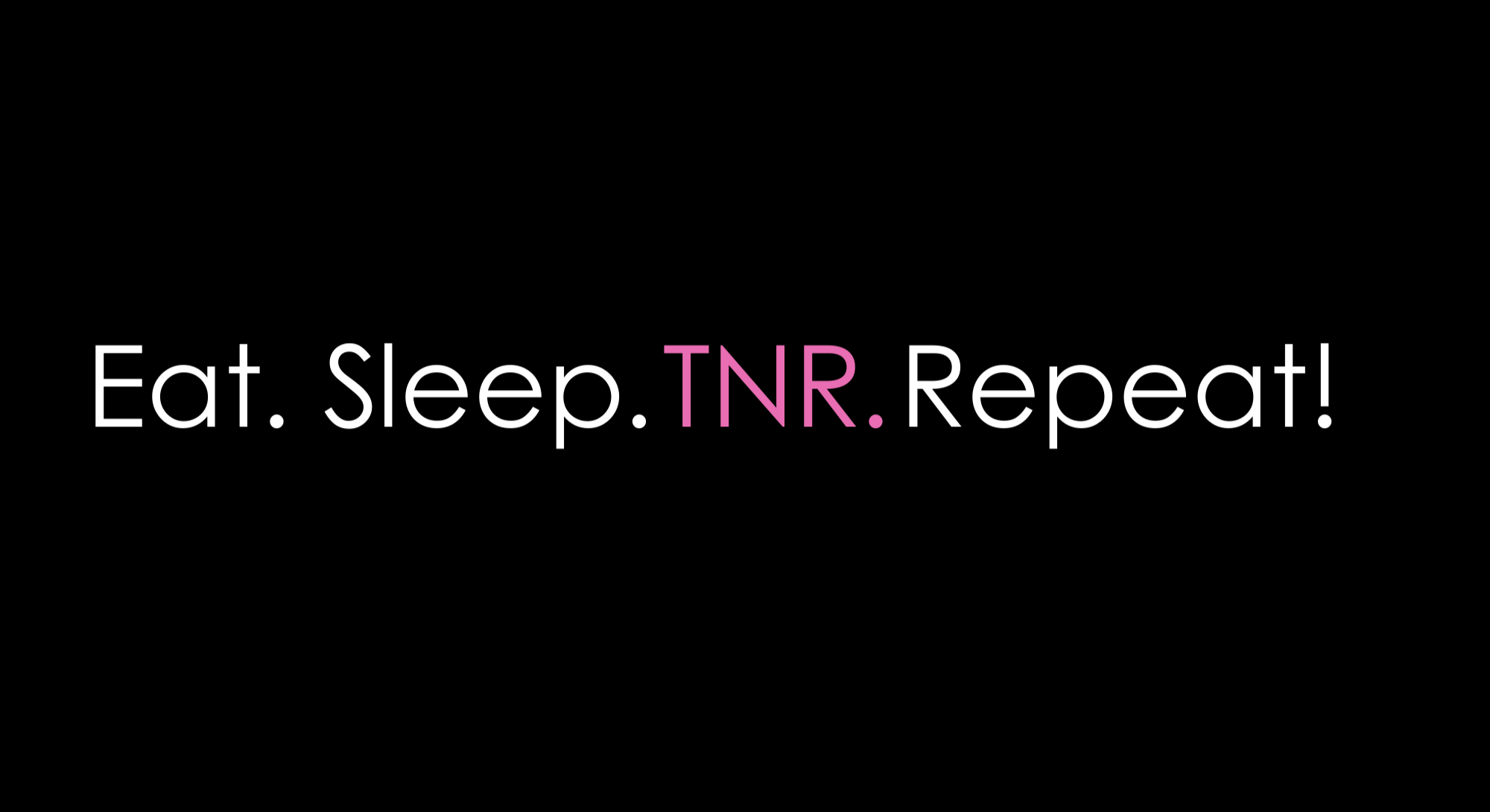 Operation TNR. Support Our Mission!