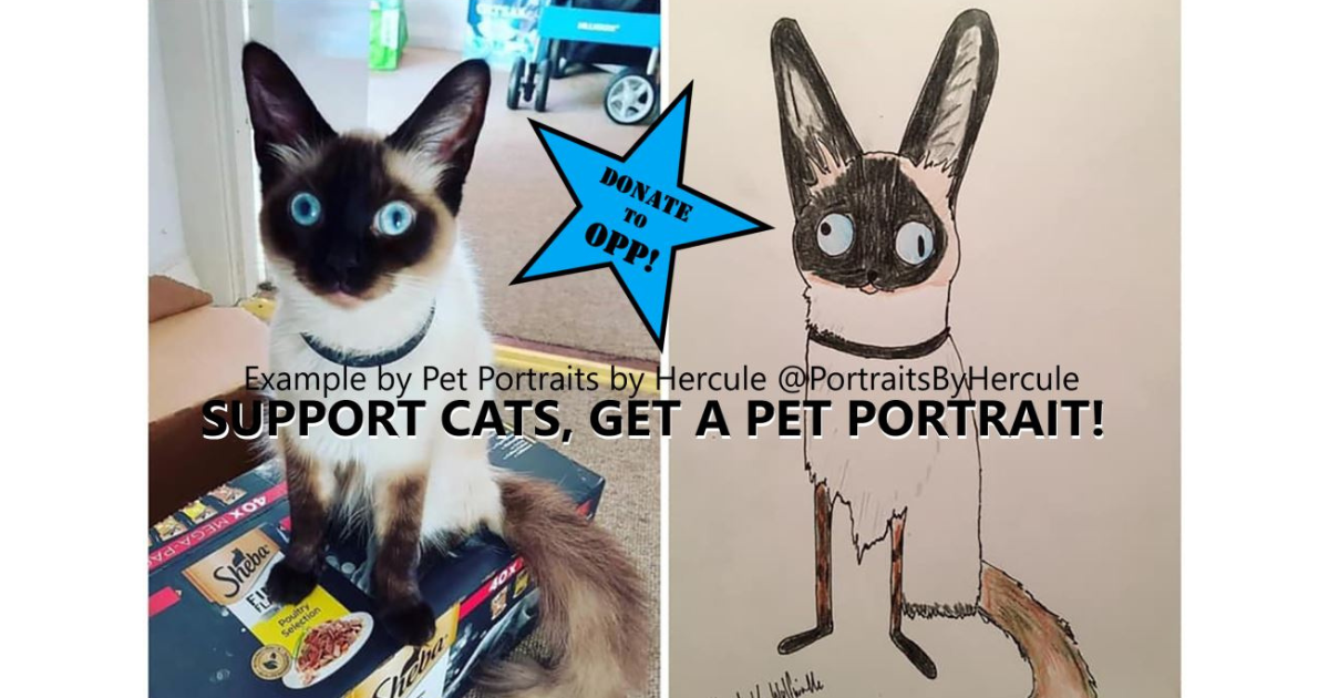 2024 Operation Press Paws Pet Portrait Fundraiser | Operation Press ...