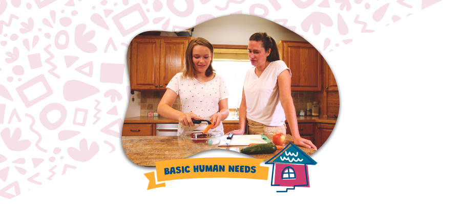 Basic Human Needs Donation Form