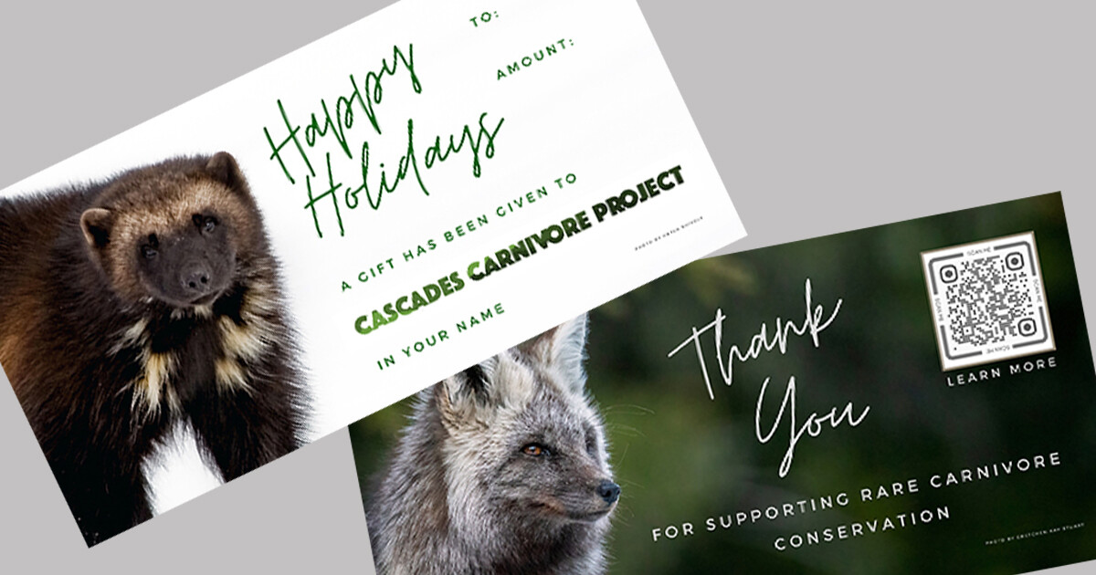 Cascades Carnivore Project Winter Donation