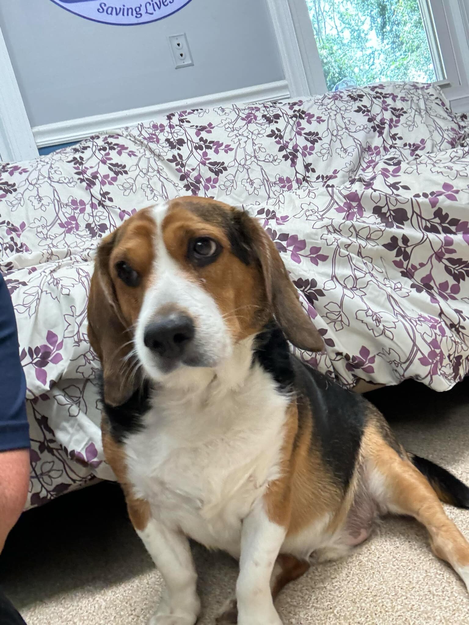 Will you help Tubbs as he fights pneumonia?