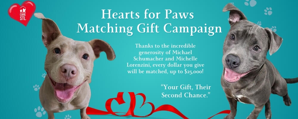 Hearts for Paws Matching Gift | CENTER FOR ANIMAL RESCUE & ENRICHMENT ...