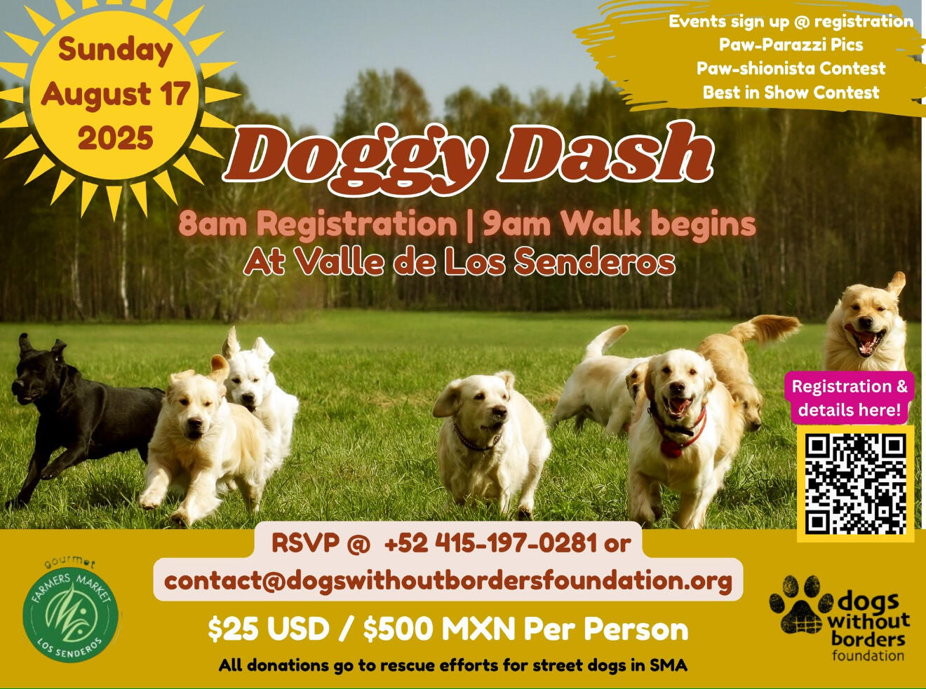 DWBF's Doggy Dash | Dogs Without Borders Foundation