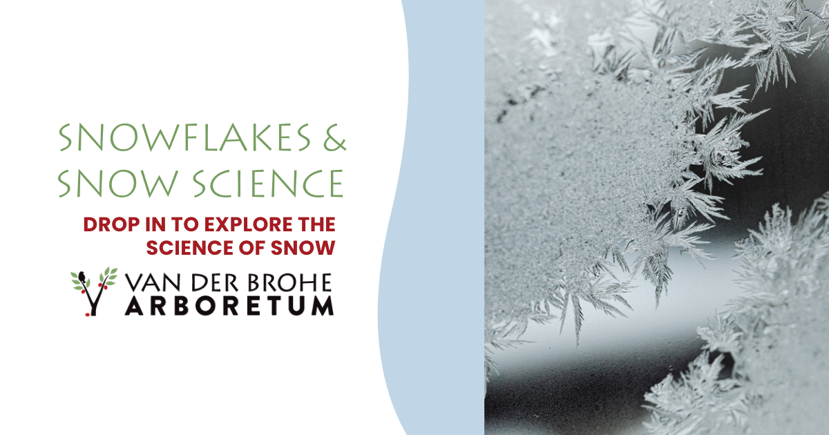 Snowflakes & Snow Science | Van Der Brohe Arboretum Inc