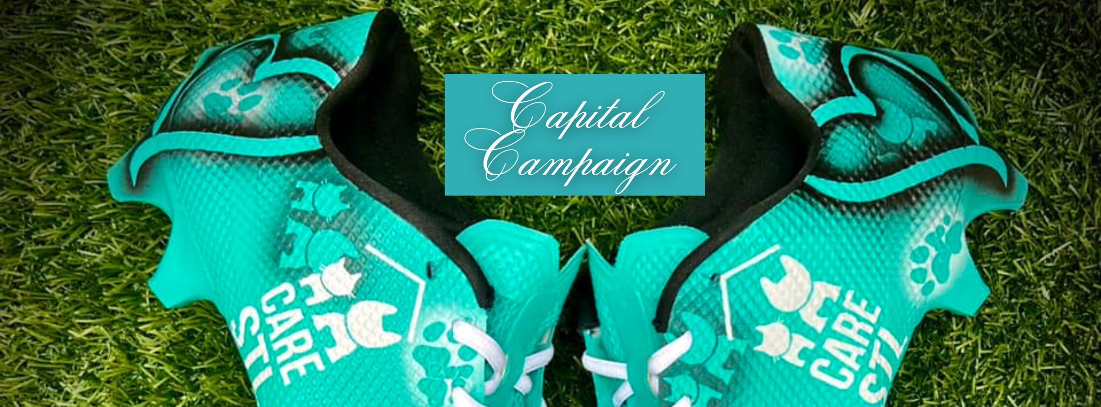 CARE STL JOURNEY TO FOREVER HOME