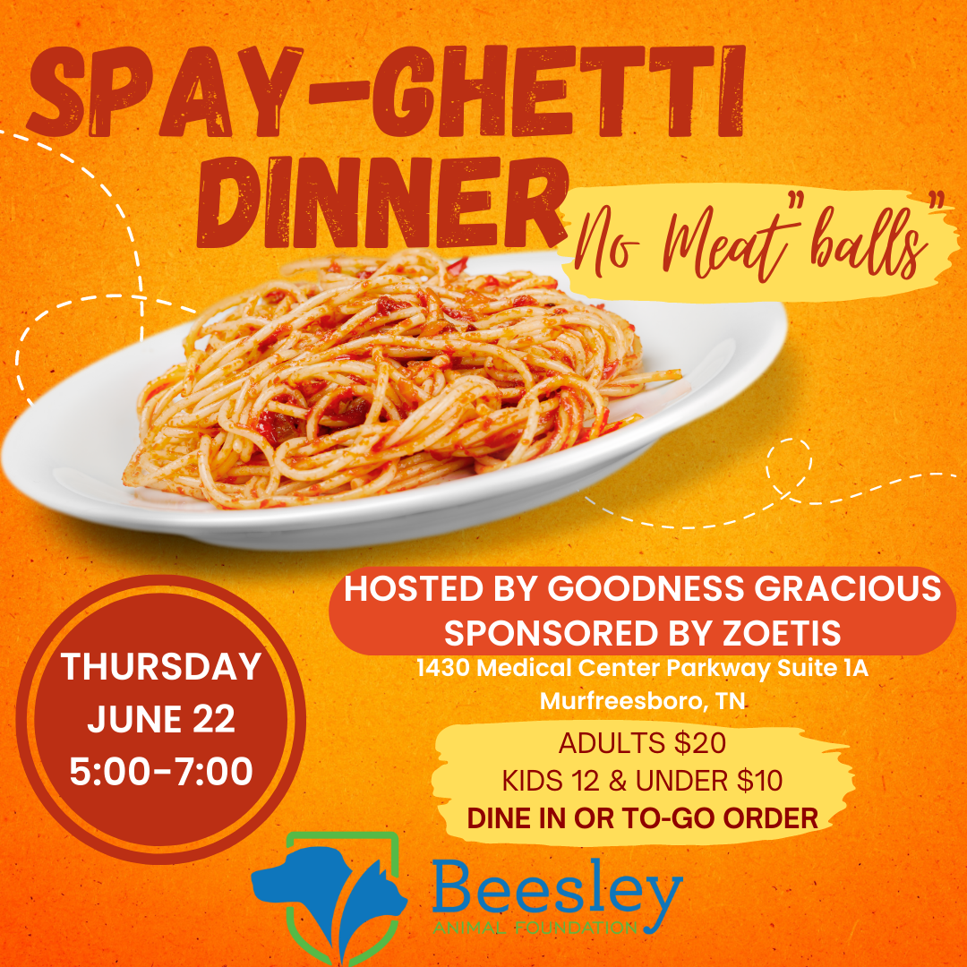Spay-ghetti Dinner No Meat"balls" | Beesley Animal Foundation