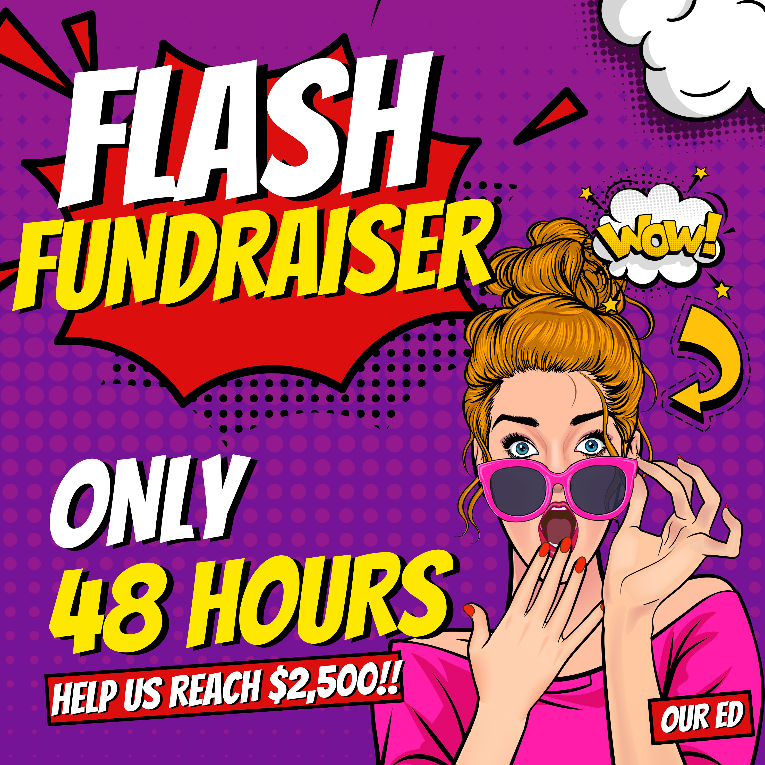 48-Hour FLASH FUNDRAISER | Black Hills Studios of the Arts