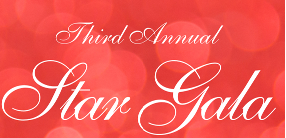 Star Gala Silent Auction October 26, 2023