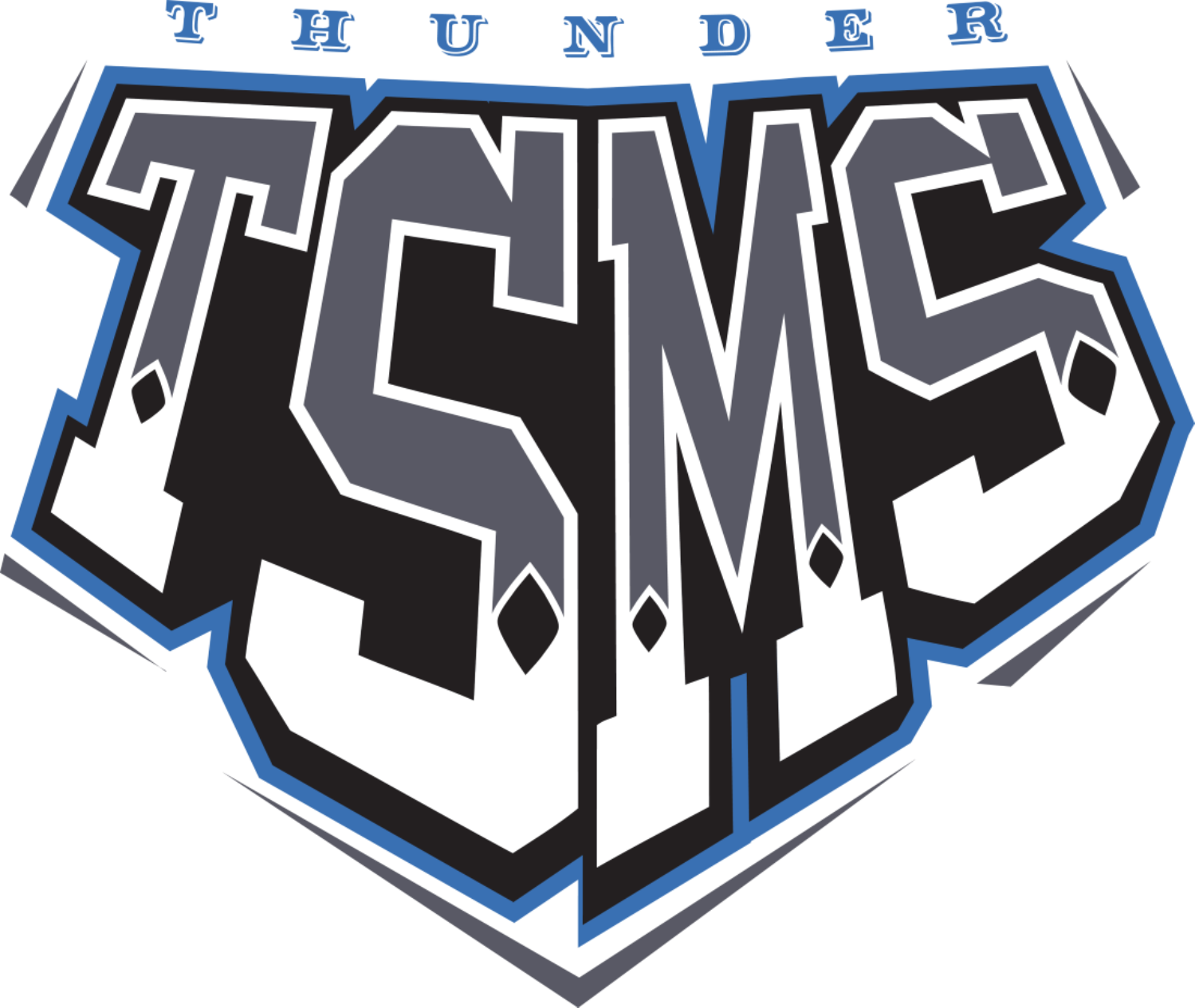 TSMS TAC Silent Auction