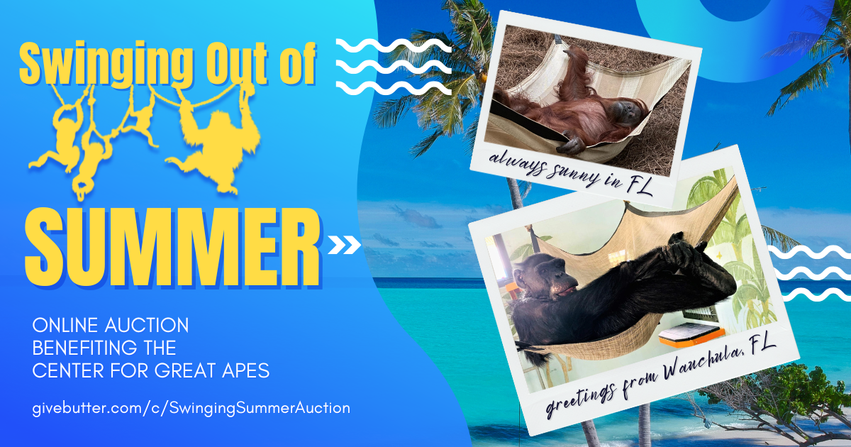 Auction – Swinging Out of Summer Online Auction