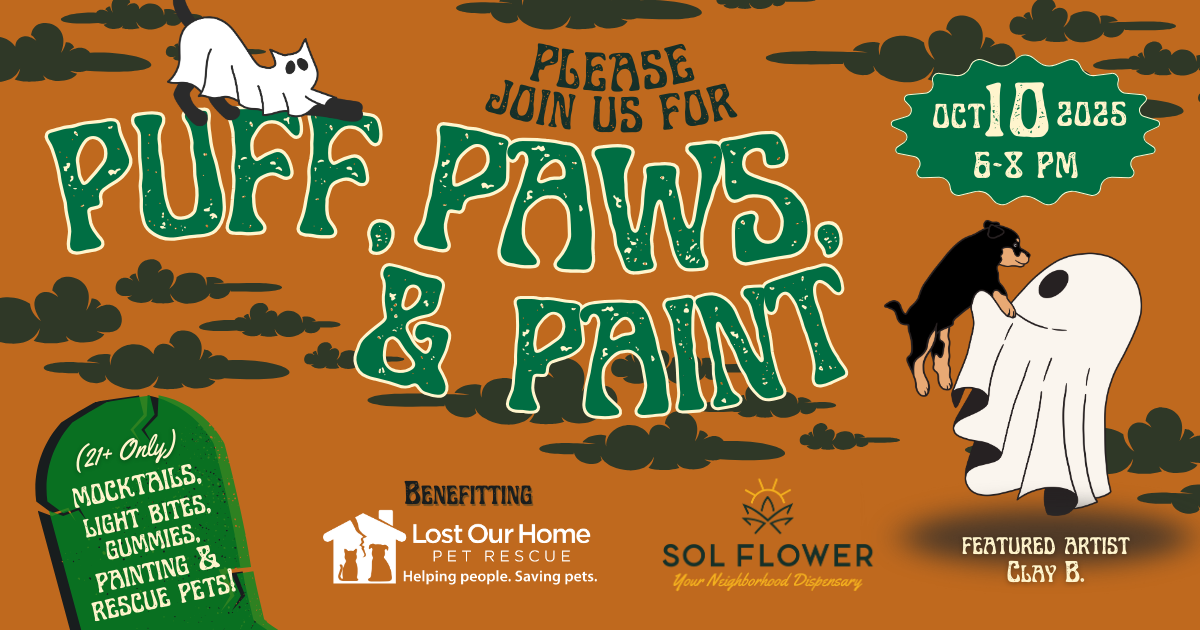 Puff, Paws & Paint with Lost Our Home & Sol Flower | Lost Our Home Pet Rescue