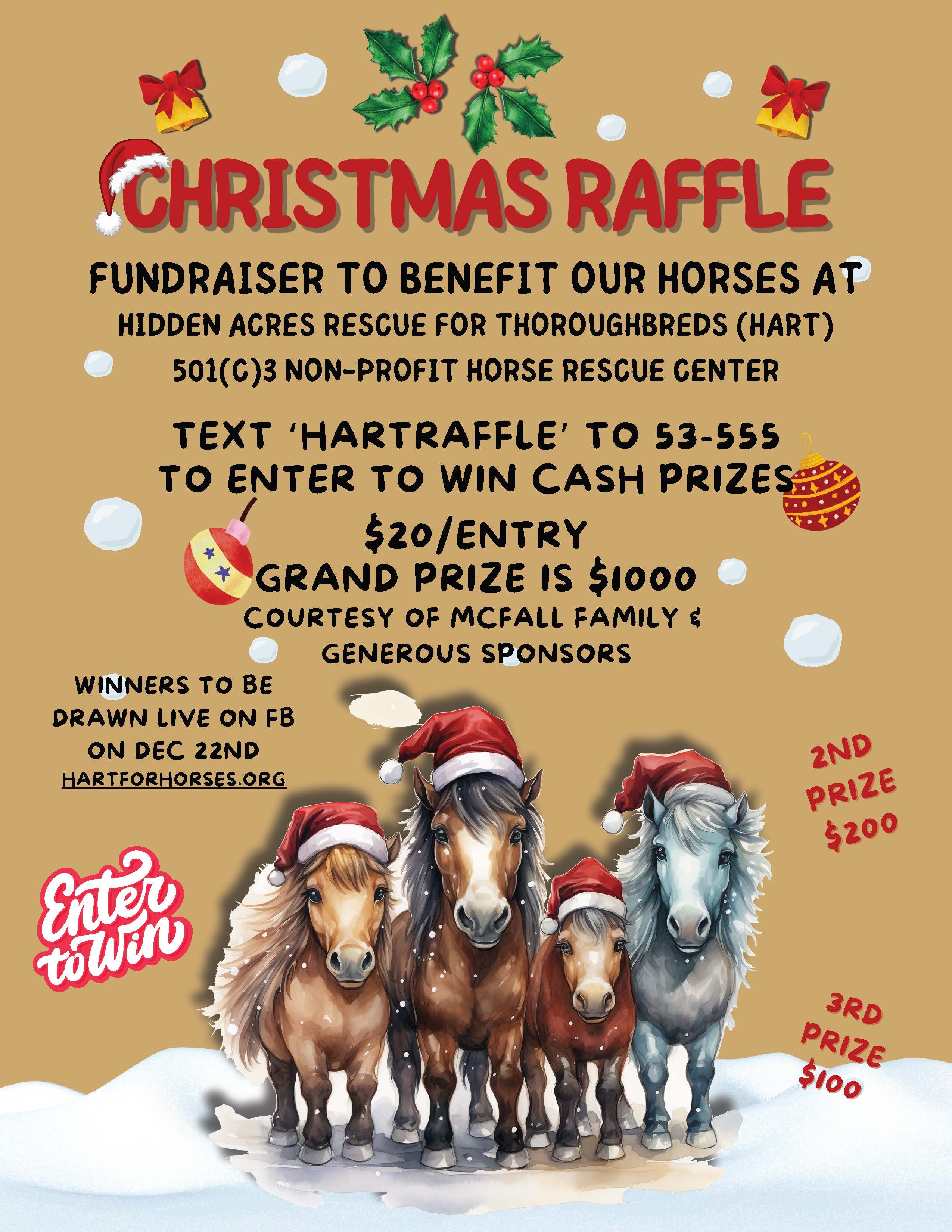HART Christmas Raffle