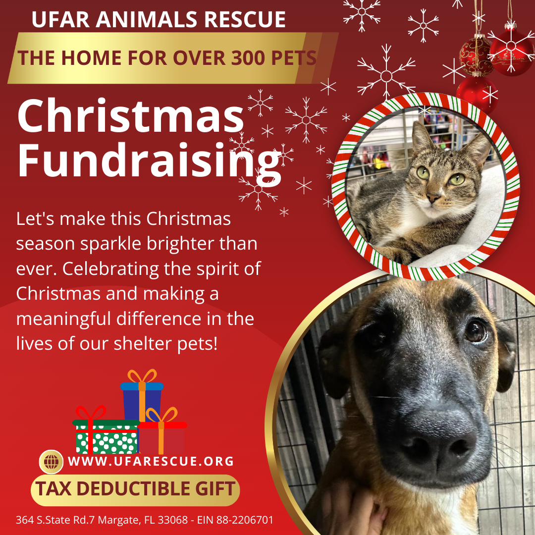 CHRISTMAS FUNDRAISING