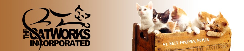The Catworks Inc