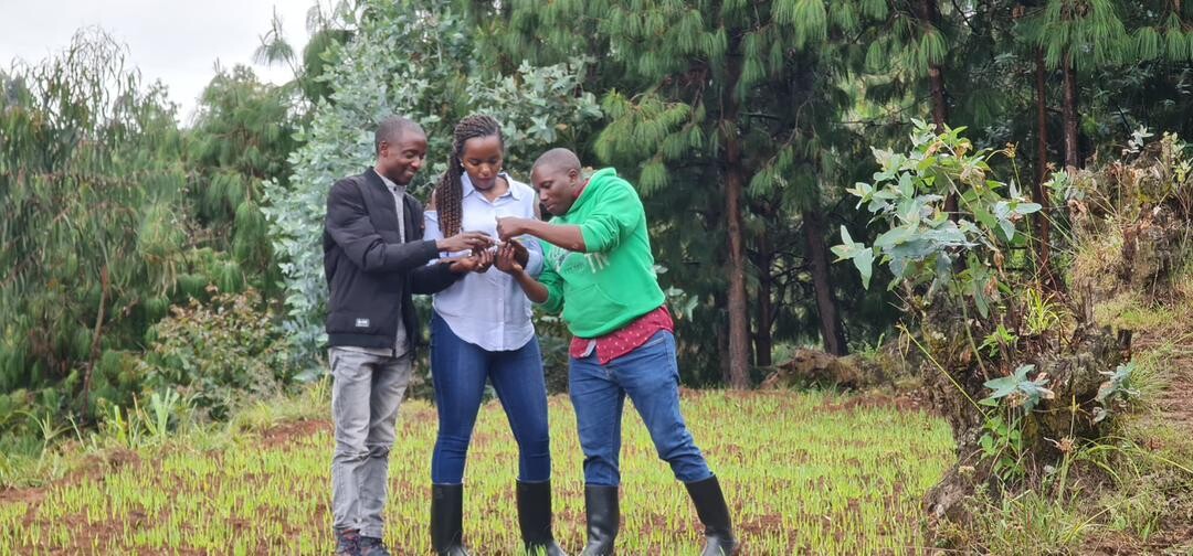 Help us "Plant the Seed" to Empower Smallholder Farmers