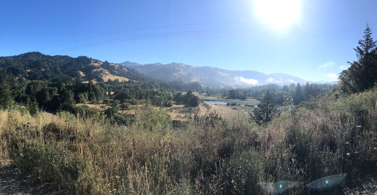 CFC's Giving Tuesday Fundraiser | Cannabis for Conservation