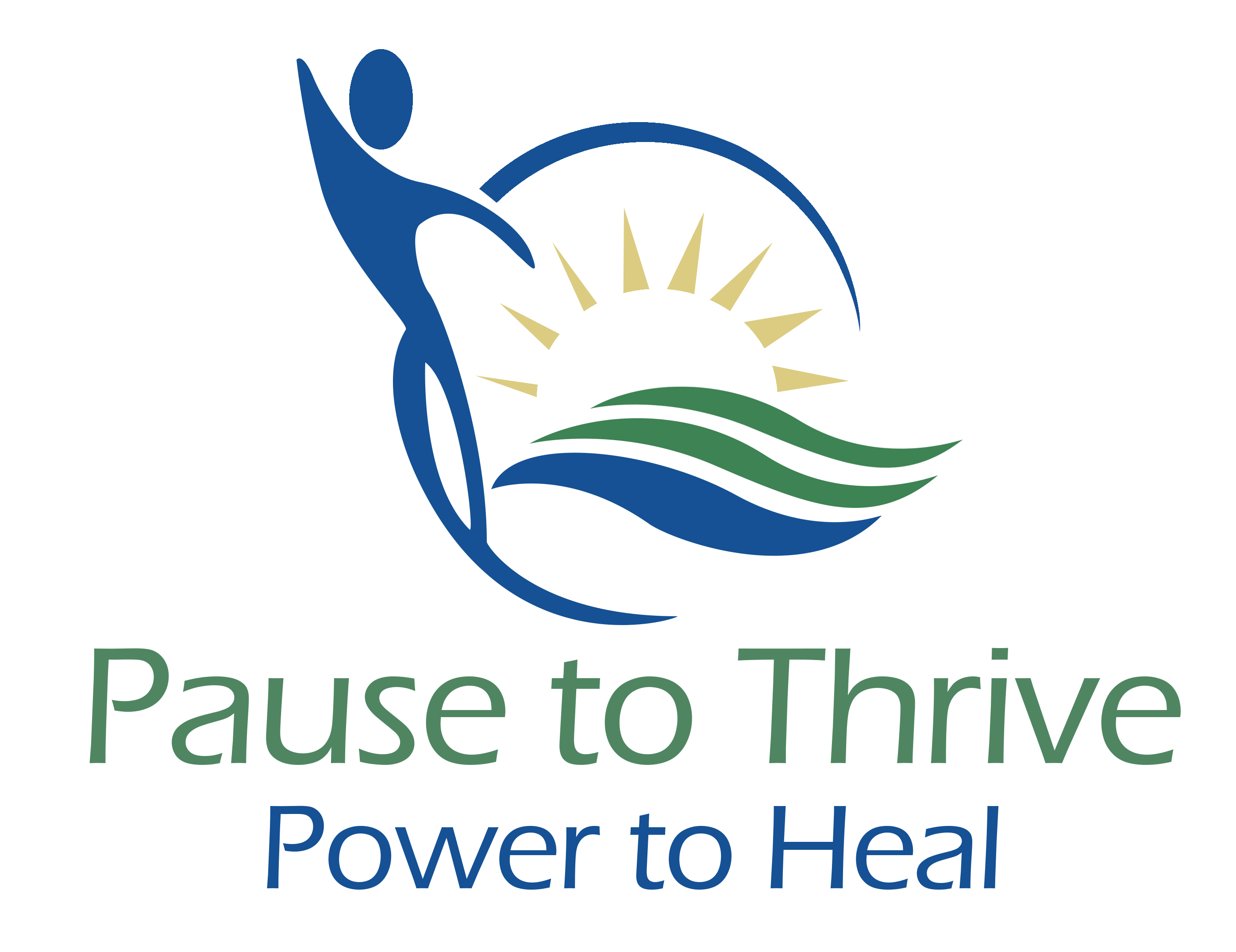 Pause to Thrive Summer Party '25