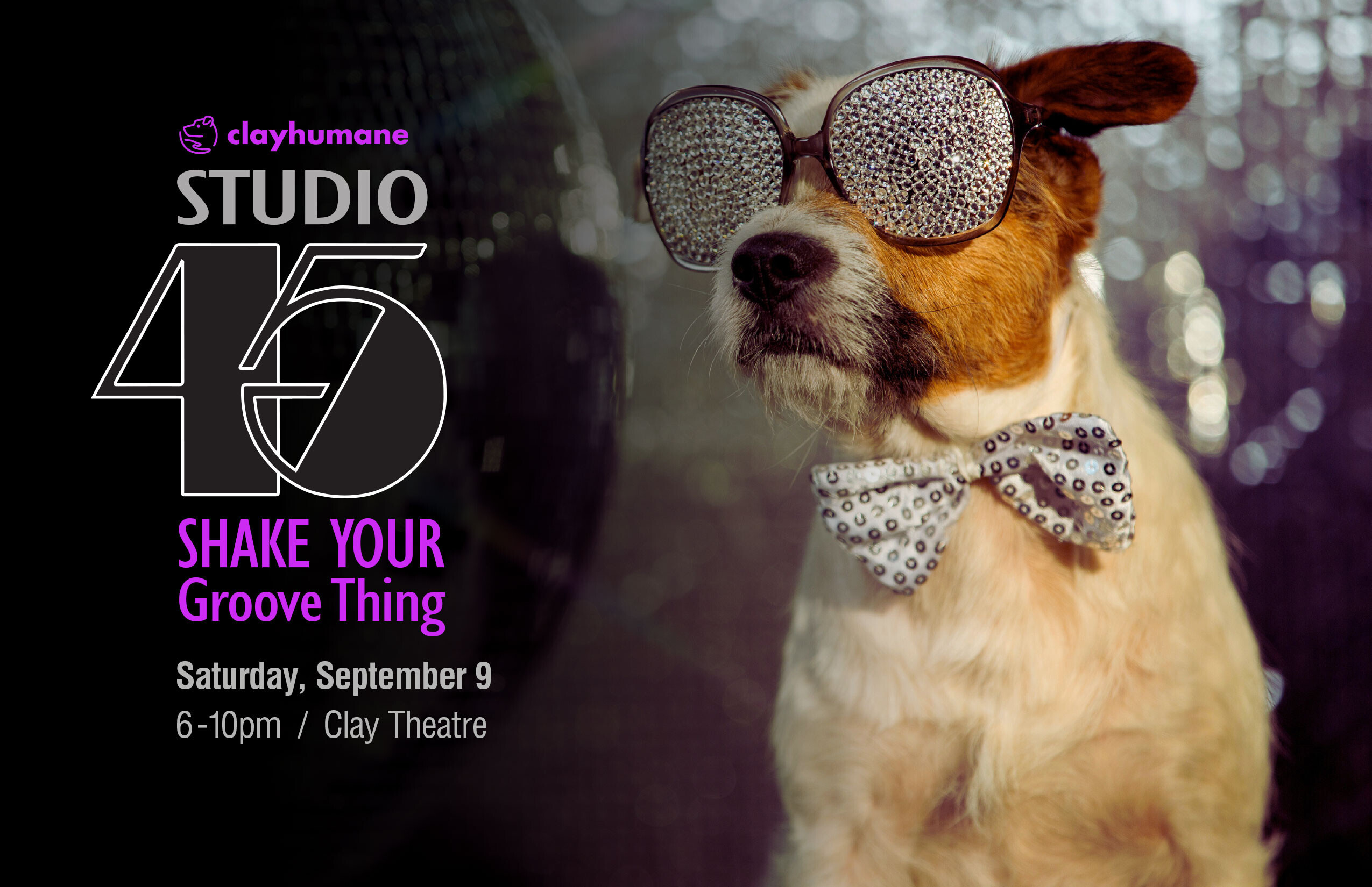 45th Anniversary Disco Party for Clay Humane | Clay County Humane ...