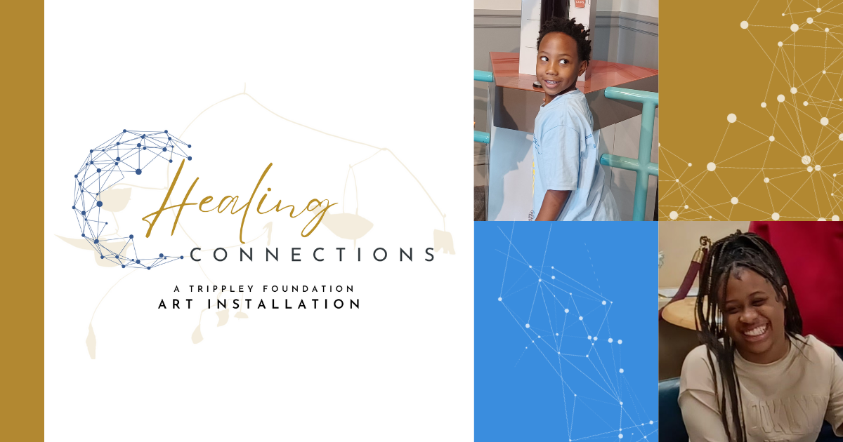 Healing Connections | Trippley Foundation