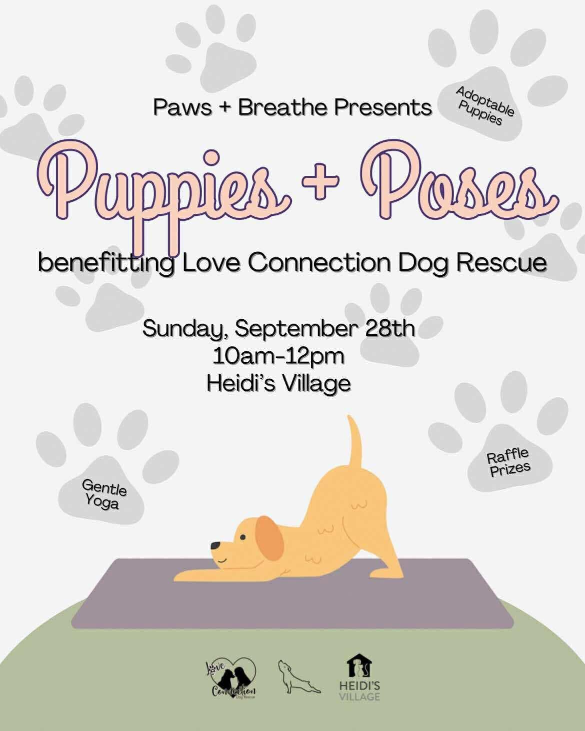 Puppies + Poses | Love Connection Dog Rescue