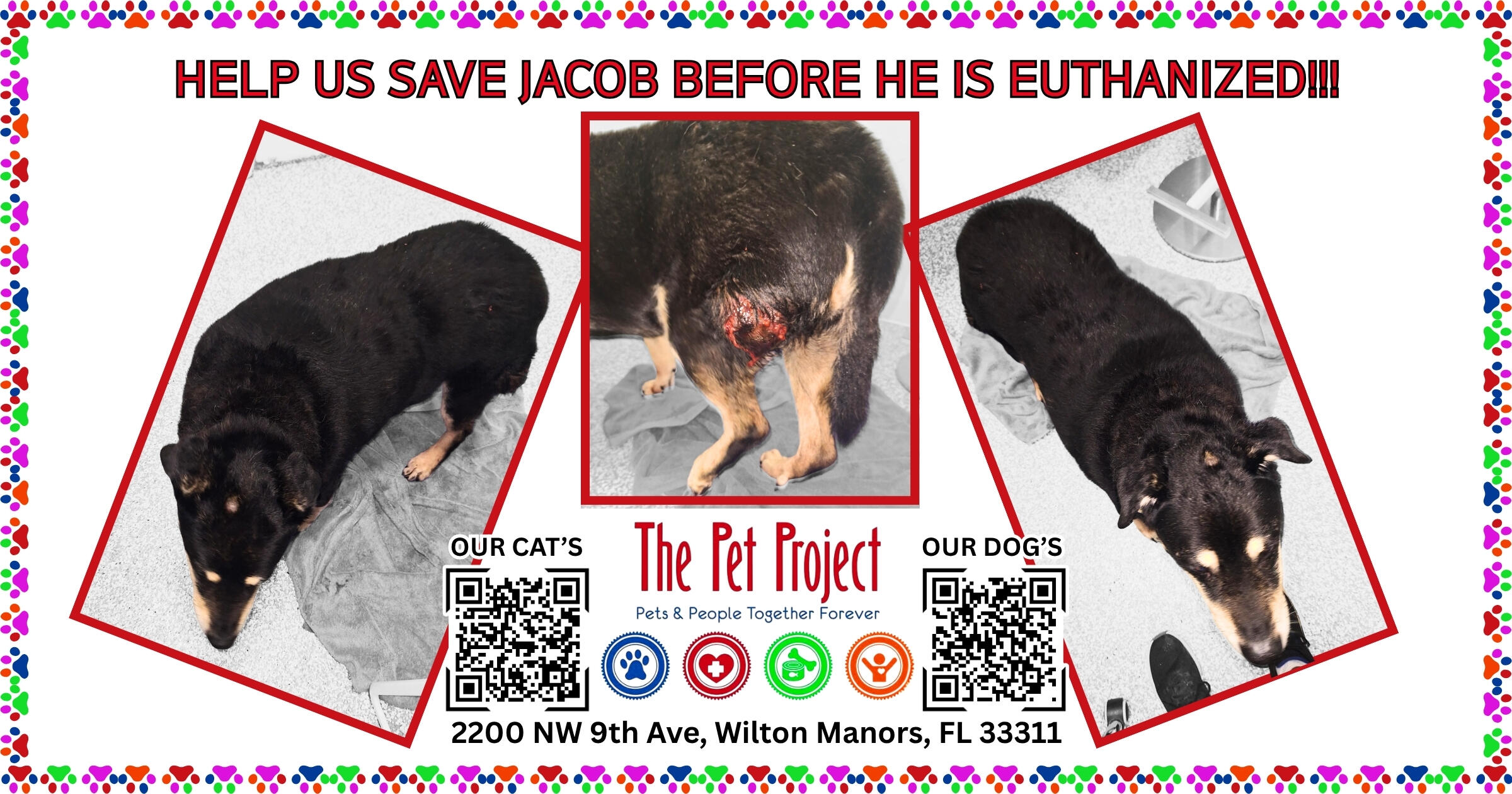 Jacob Needs Our Help Immediately!!! | Pet Project for Pets, Inc.