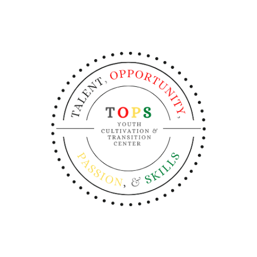 Seed Funding Campaign for Youth Mentorship Program