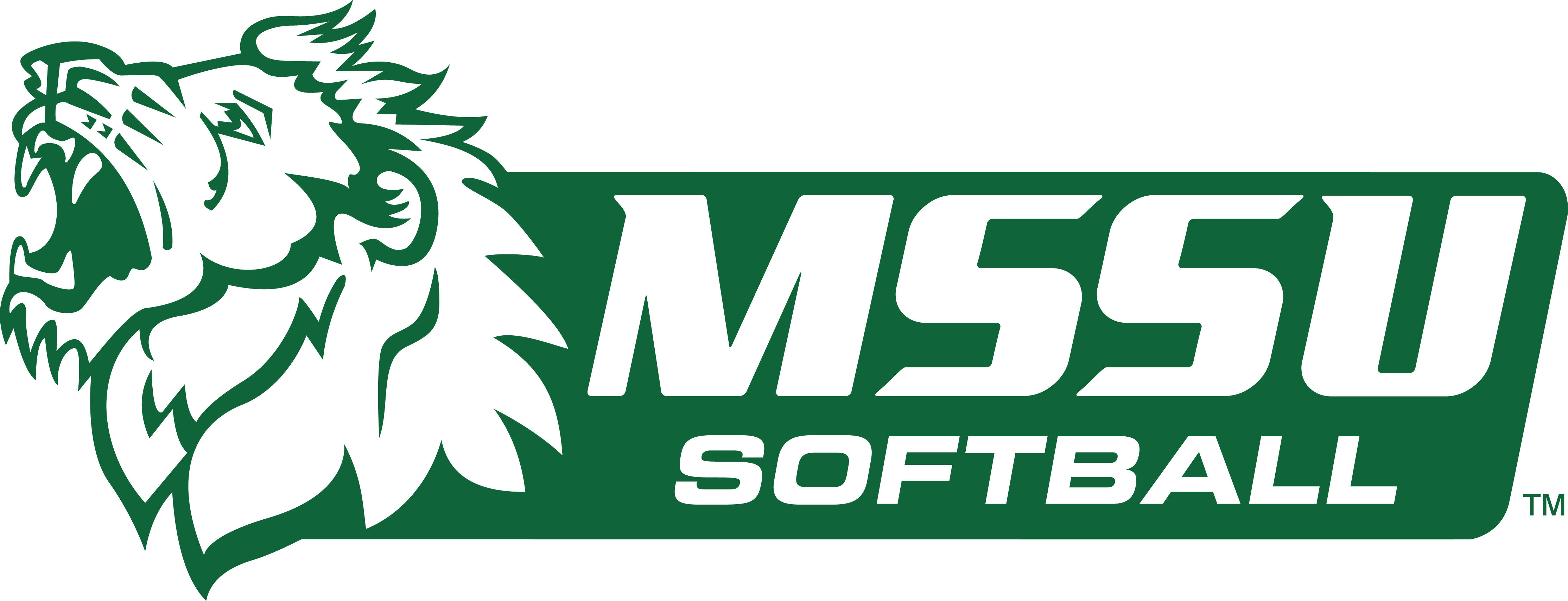 MSSU Softball Auction | Missouri Southern Foundation