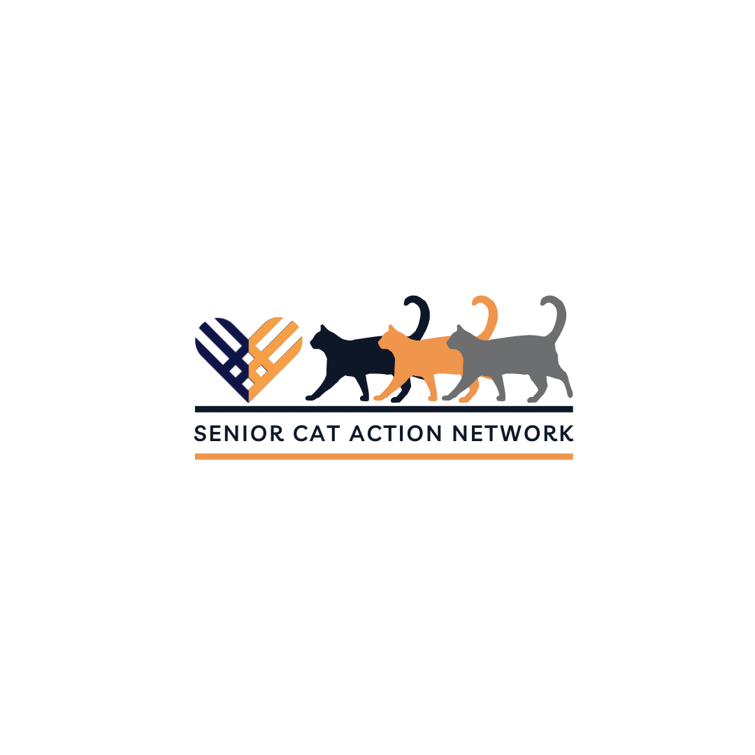 GivingTuesday Fundraiser for Senior Cats | Senior Cat Action Network