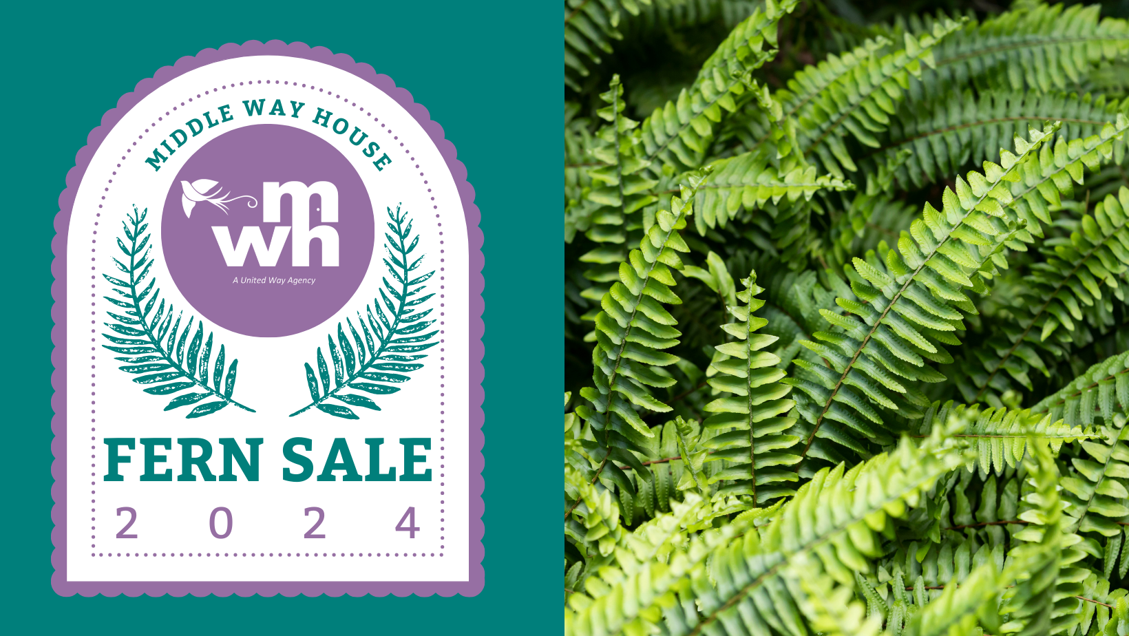 Middle Way House Fern Sale 2024 | Middle Way House, Inc