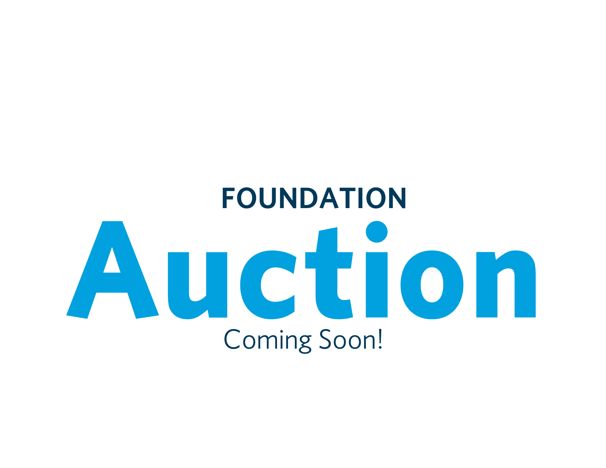 Foundation Auction 2025 | Bemis Company Foundation