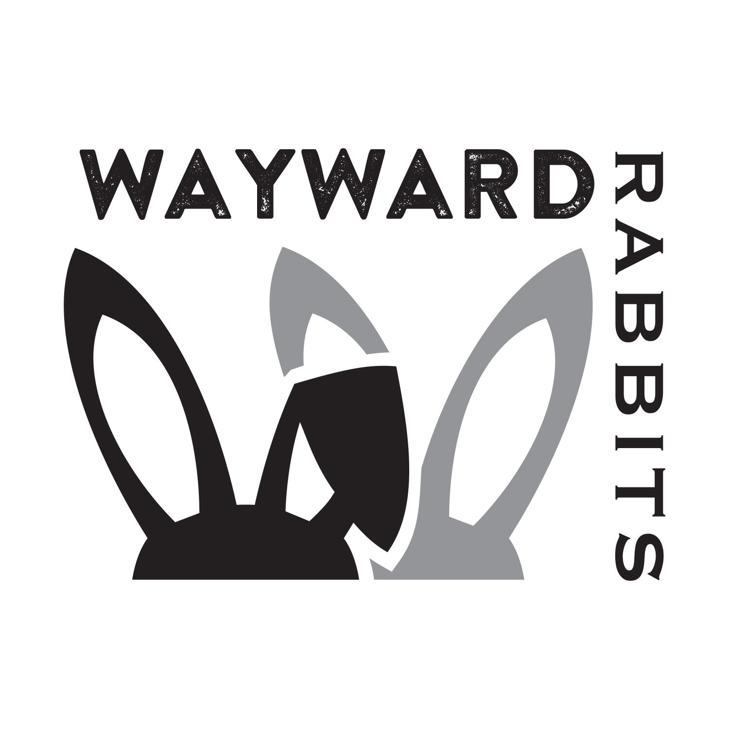 Hop N Shop benefitting Wayward Rabbits!