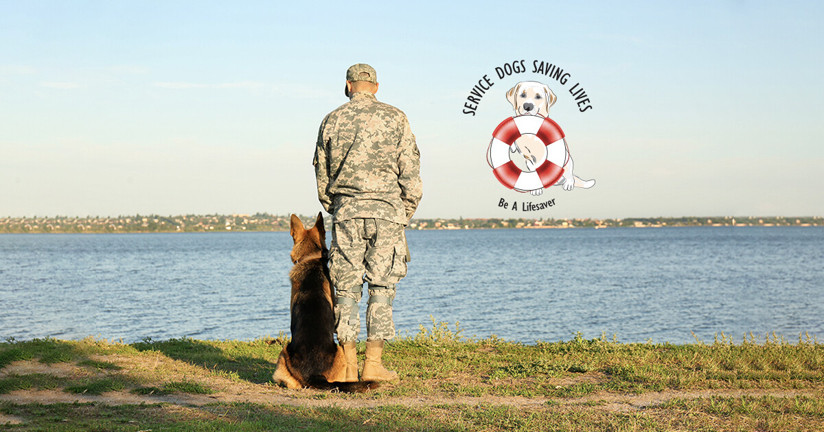 Service Dogs Saving Lives: Transforming Lives with Trained Canine ...