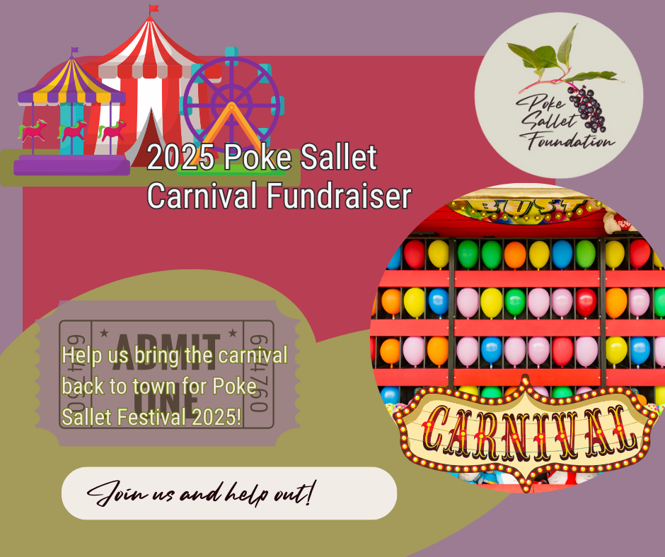 Carnival Fundraiser