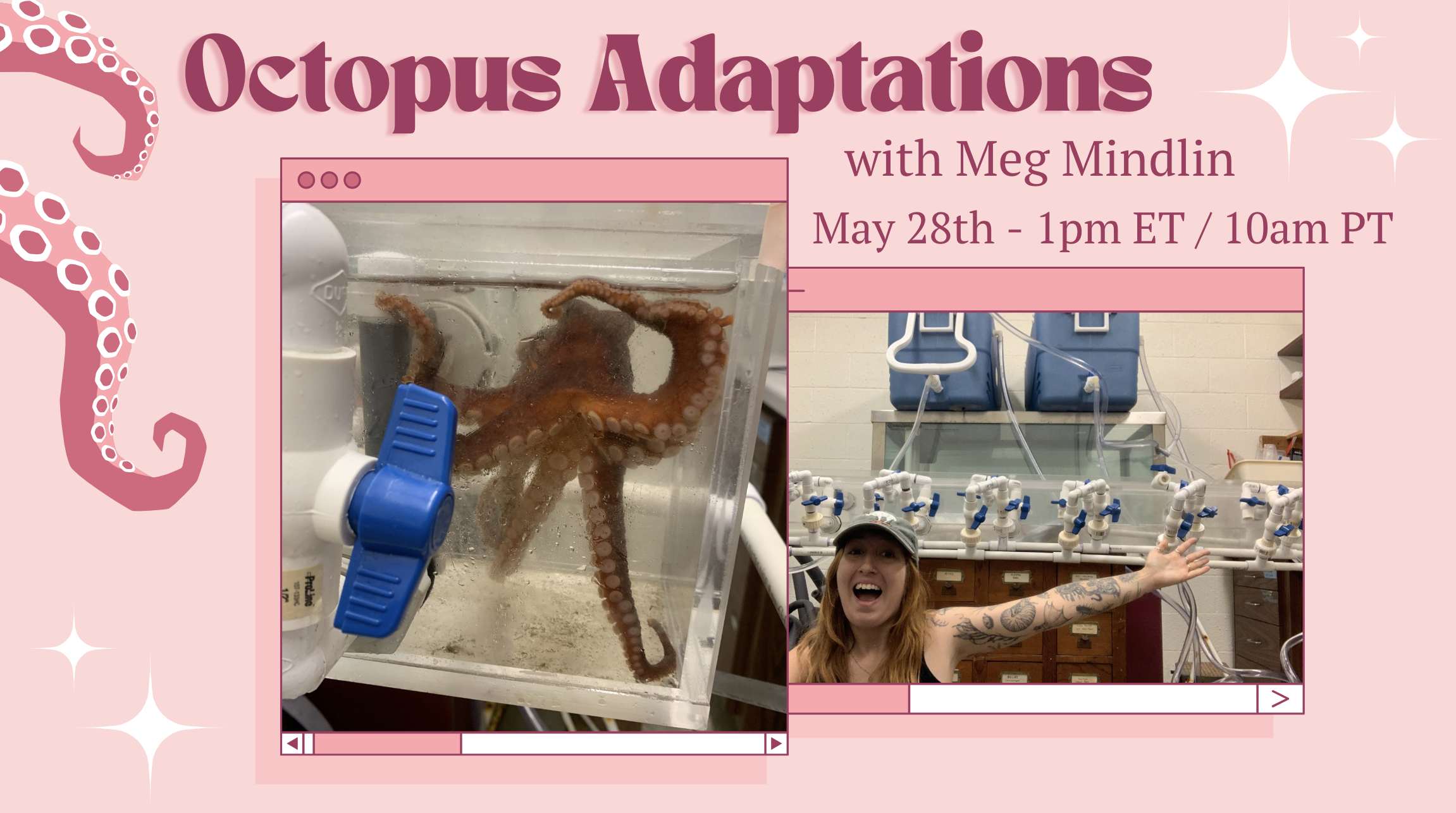 Octopus Adaptations with Meg Mindlin | Skype a Scientist
