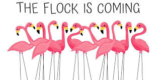 You've Been Flocked | MENTAL HEALTH AMERICA OF HENDRICKS COUNTY INC