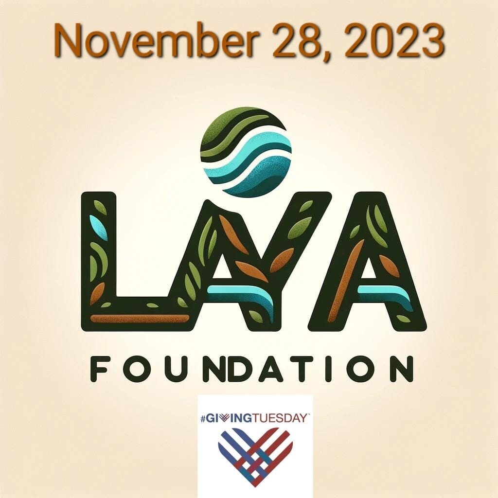 LAYA Foundation | The Assigned (Fiscal Sponsor: Abundant Charities)