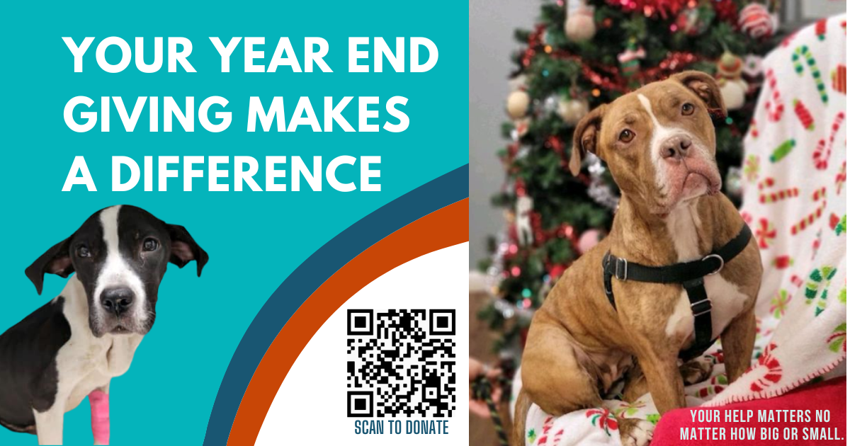 Your End of Year Giving Makes A Difference