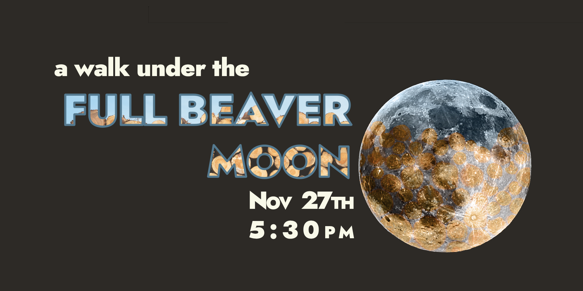 November Full Moon Walk