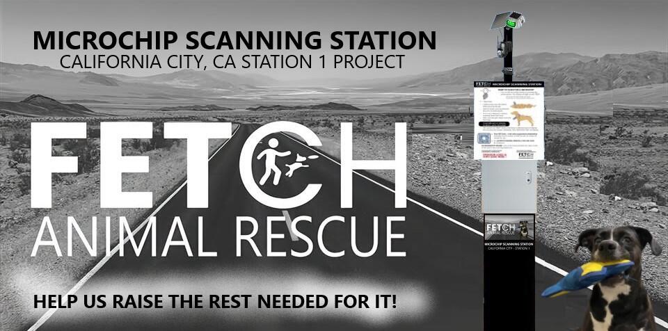 Microchip Scanning Station Project Funds | Fetch Animal Rescue