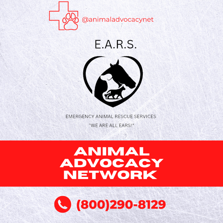 Animal rescue, Emergency, fire, evacuation,