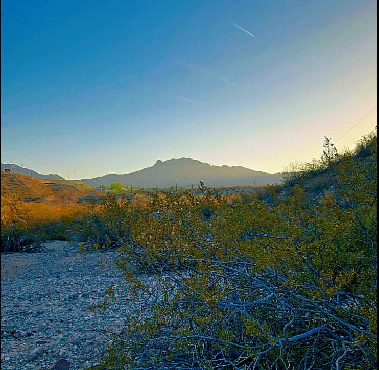 Celebrate 20 Years of Conservation: Resler Canyon! | The Frontera Land ...