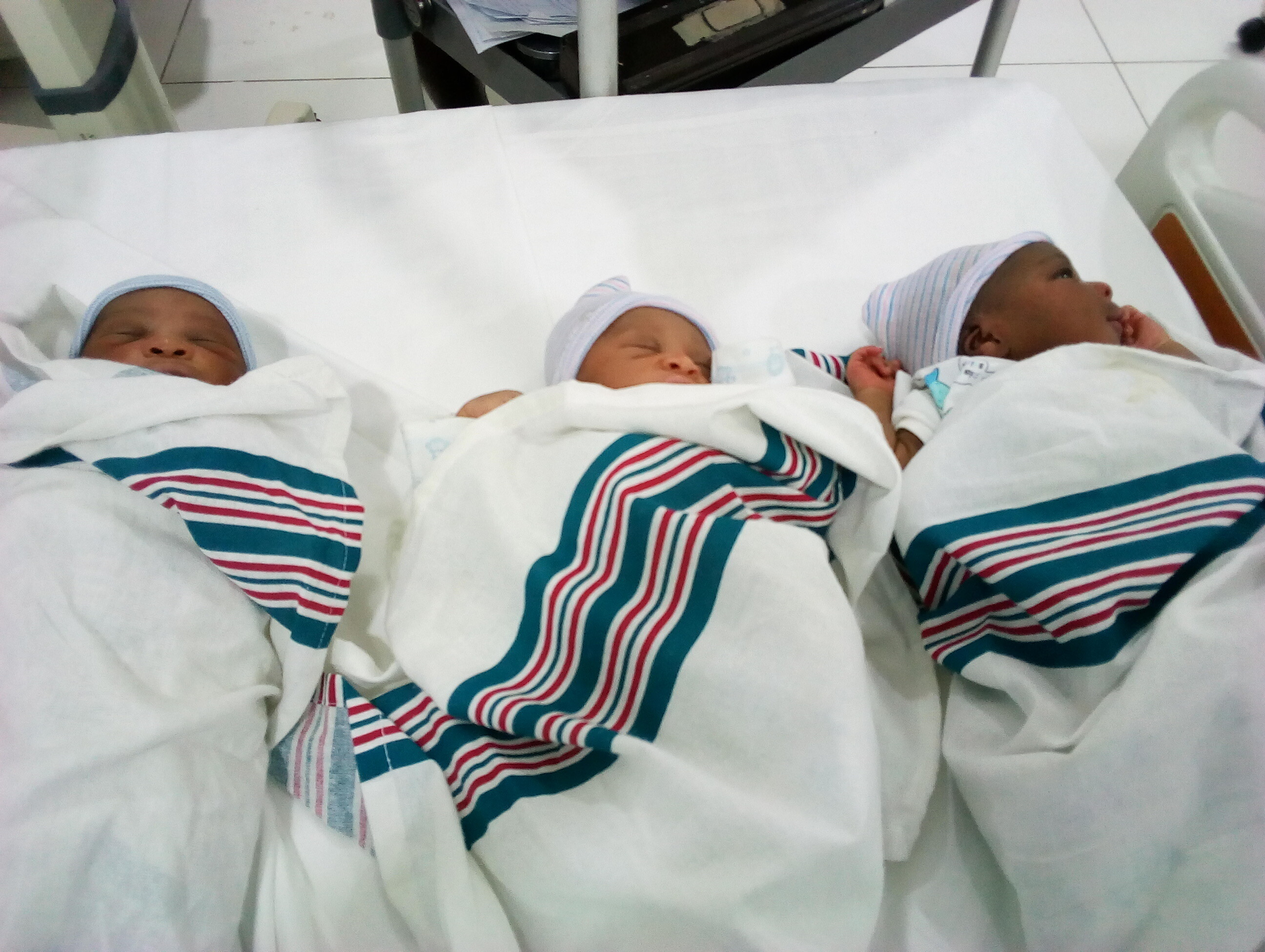 2024 Global Health Charities Let Life Bloom Gala