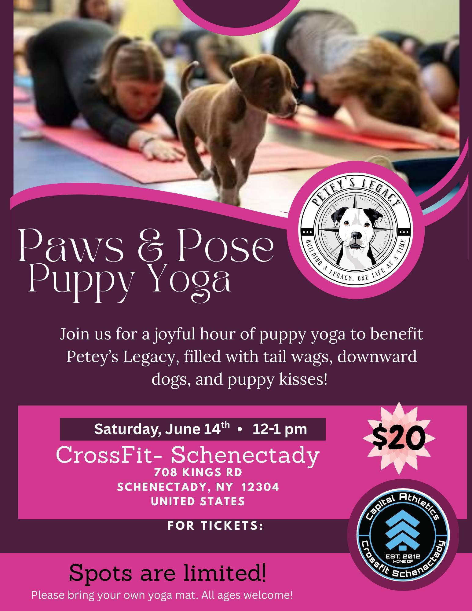 Paws & Pose Puppy Yoga | Petey's Legacy Inc.