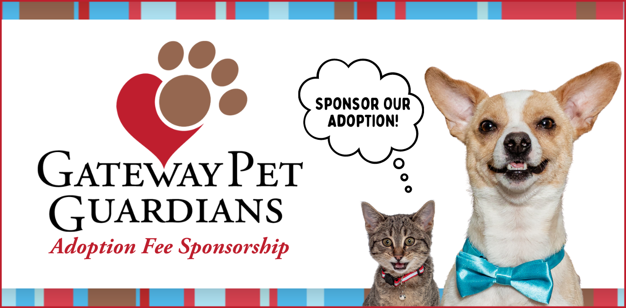 Sponsor the adoption fee of a Gateway Pet Guardians' dog or cat