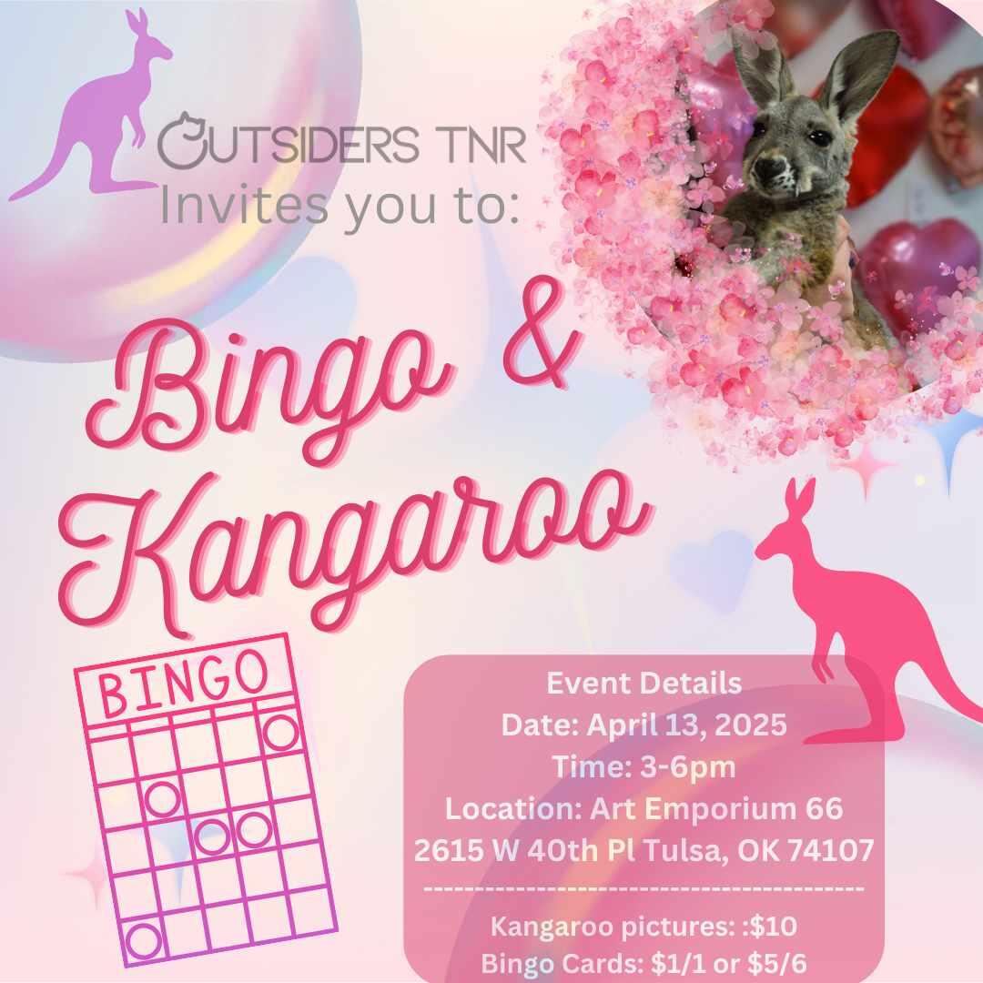 Bingo & Kangaroo