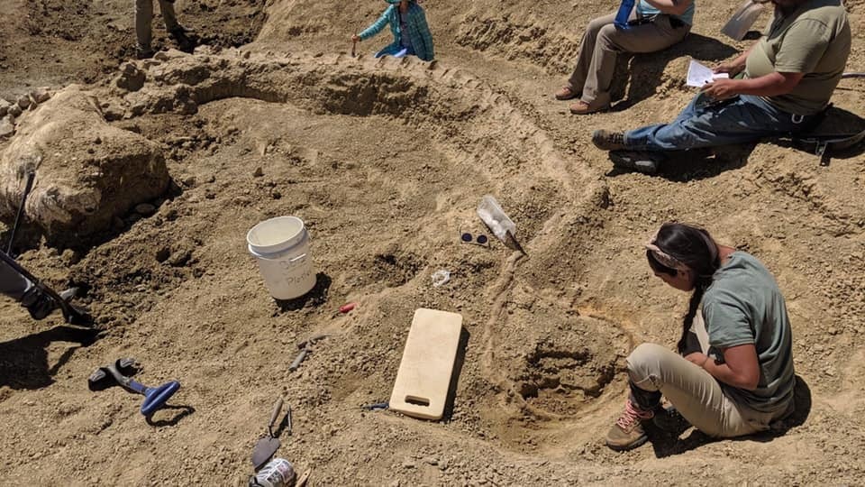 Elevation Science Institute for Natural History Exploration