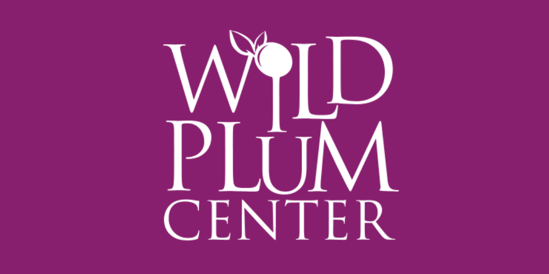 Wild Plum Center for Young Children and Families