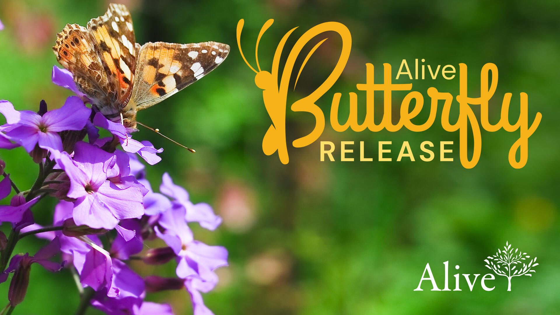 2025 Alive's Butterfly Release